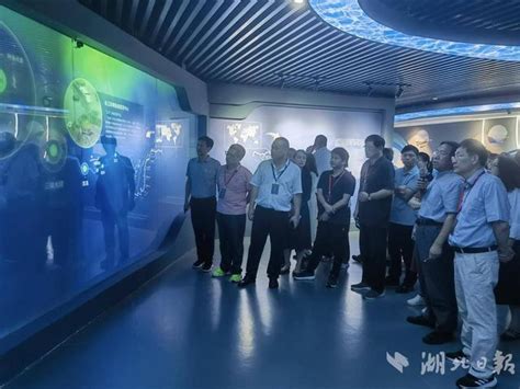 三峽集團累計放流中華鱘550萬尾 每日頭條
