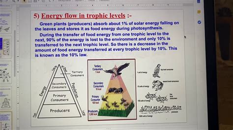 What Is A 10 Percent Law At Olga Patrick Blog