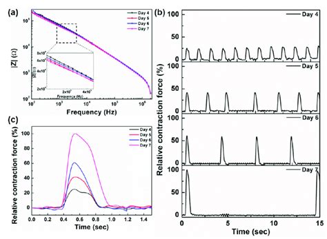A Bode Plot Of The Impedance Spectrum Measured From Day To Day Download Scientific