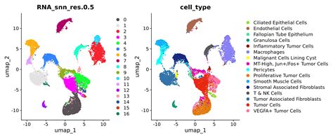 Annotating Cell Types In Xenium In Situ Data With Label Transfer 10x