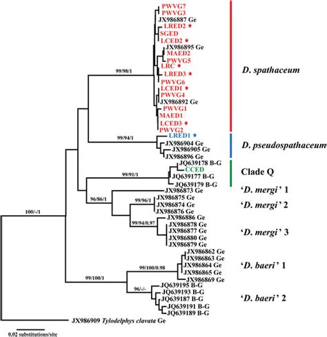 Neighbour Joining Nj Phylogram Reconstructed Using The Download Scientific Diagram