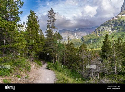 Scenery Along The Swiftcurrent Pass Hiking Trail In Glacier National