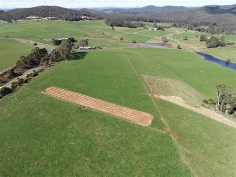 Planting Trees For Shelter Biodiversity And Aesthetics