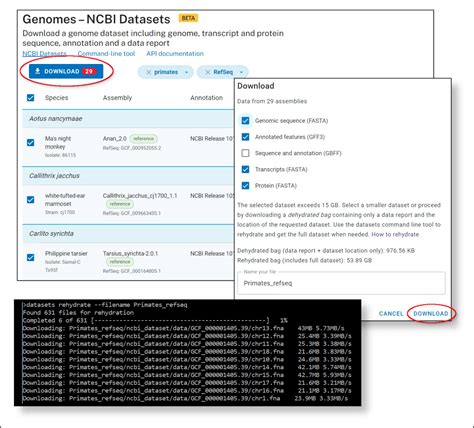 easily download large amounts of genomic data with ncbi datasets ncbi