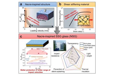 Software Novel Design Enhances Thermal Insulation And Impact Resistance In Composite Glass