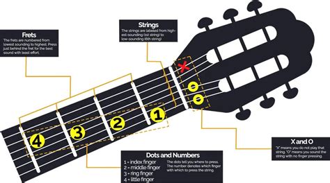 Learn Guitar Notes For Beginners Achyutaya