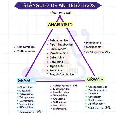 Triangulo De Los Antibióticos Para Los Gram Positivos Gram Negativos