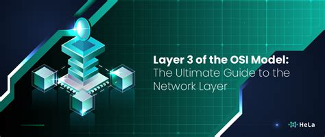 What Is Layer 3 Of The Osi Model Network Layer Explained For Beginners Hela
