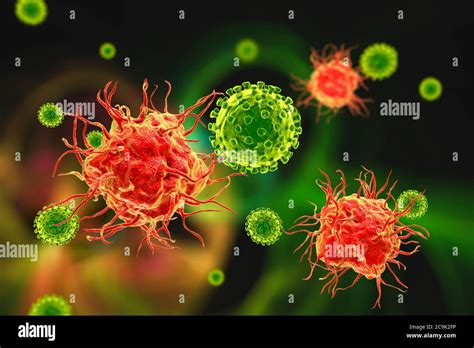 Interaction Between Virus And Dendritic Cell Computer Illustration Dendritic Cells Play A