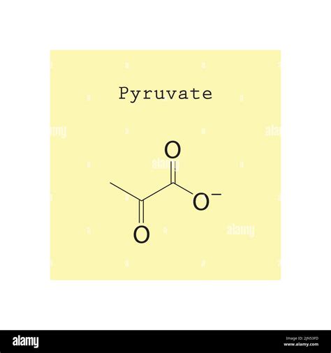 Pyruvate Chemical Structure On Yellow Background Stock Vector Image And Art Alamy