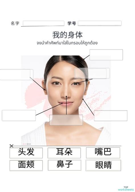 แบบฝึกหัดเรื่องการบอกเวลาเป็นภาษาจีน Interactive Worksheet Topworksheets