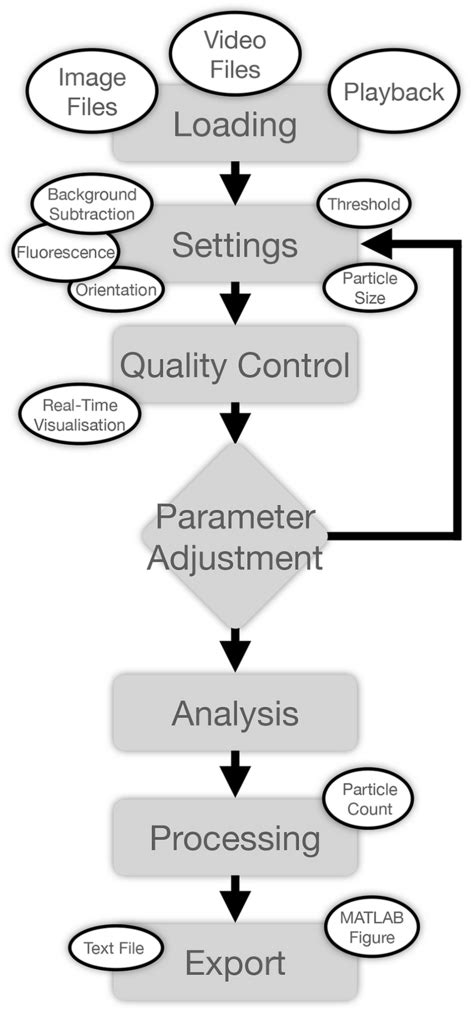 Workflow Of The Program While Navigating Through The Tabs After Download Scientific Diagram