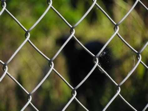 Premium Photo Close Up Of Chainlink Fence At Park