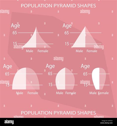 Population And Demography Illustration Set Of Types Of 52 Off