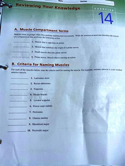 solved text date section reviewing your knowledge exercise 14 a