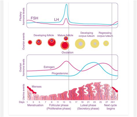 Root Finding Techniques In Matlab Newton Raphson Secant And Bisection Methods By