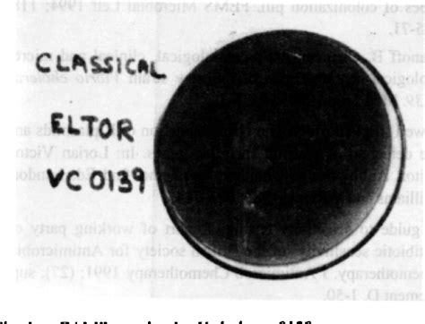 Figure I From Plasmid Mediated Drug Resistance In Vibrio Cholerae 0139
