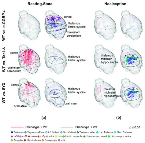 Baseline Differences Day −2 In Resting State Rs And Nociceptive