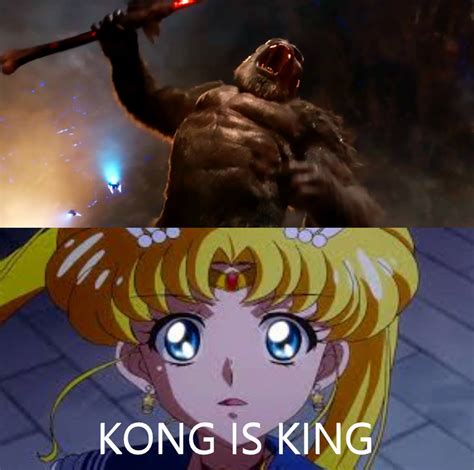 Sailor Moon And Kong By Rsuam1 On Deviantart