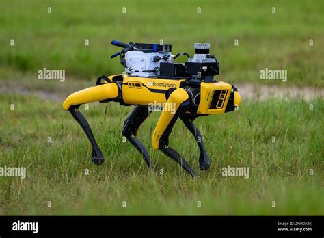 Spot Autonomous Legged Robot Test Demonstration During The 10x Robotic And Ai Equipped