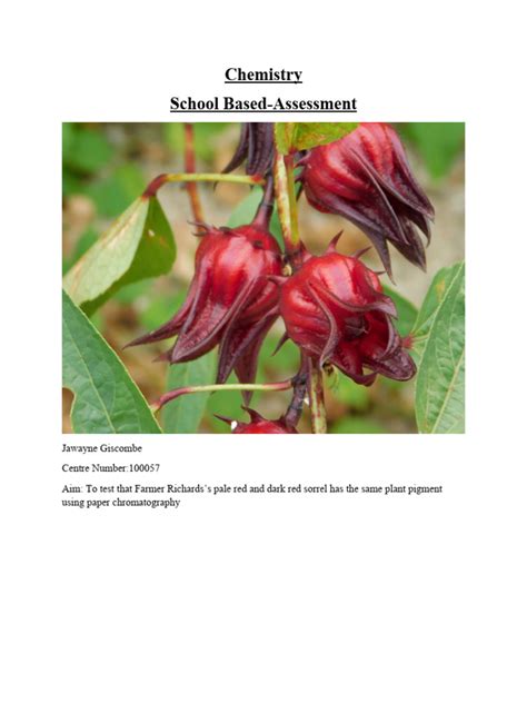 Chemistry Implementation Sba Pdf Chromatography Analytical