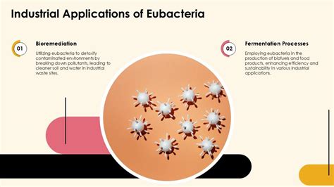 Industrial Applications Of Eubacteria Kingdom Eubacteria Ppt Structure Acp Ppt Sample