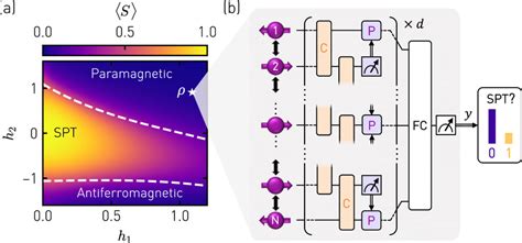 Concept Of The Quantum Phase Recognition Experiment A Phase Diagram