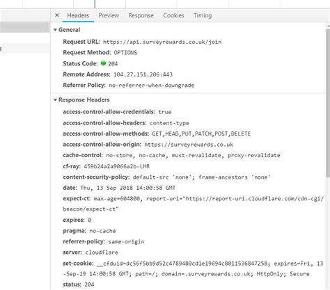 node js nginx pm2 node no access control allow origin header