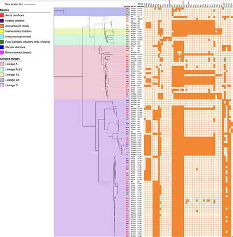 Whole Genome Snp Tree For 110 Eaec Isolates From Various Sources