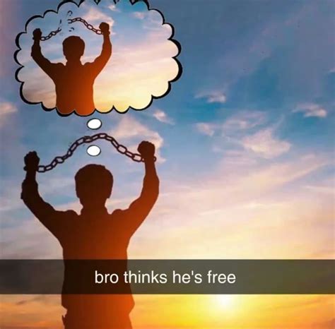 Bro Thinks Hes Free Really Funny Pictures Funny Memes Funny Images
