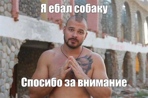 Мем Я ебал собаку Спосибо за внимание Все шаблоны Meme