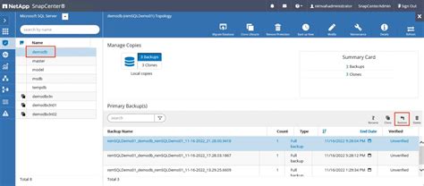 Run Sql Server On Ec2 Using Fsx For Ontap Netapp