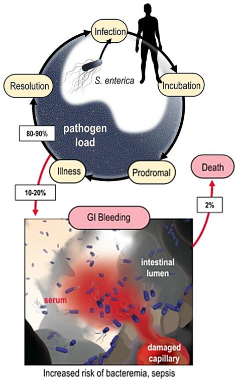 Some Microbes Are Tiny Vampires With A Deadly Attraction To Human
