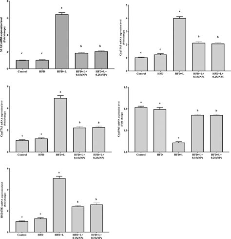 Effect Of Selenium Nanoparticles Senps On Ovarian Mrna Expression Of