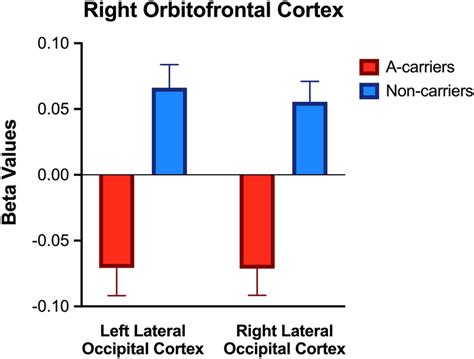 The Main Effect Of Cacna1c Rs100737 On Rsfc Between The Right Download Scientific Diagram