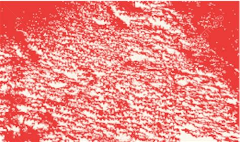 Rust Texture Style Strip Film Vector Style Strip Film Png And Vector