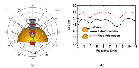 A Far Field Directivity B Near Field Directivity Of The Imaging Setup Download
