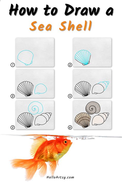 Draw Sea Shell Step By Step Sea Shell Drawing In Easy Steps Follow Along With Each
