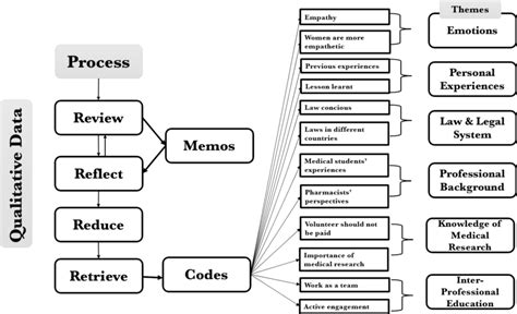 Qualitative Evaluation Process And Emerging Themes Download