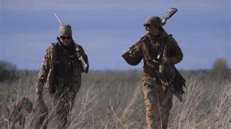 Блог Прогусь - сайт для любителя гусей