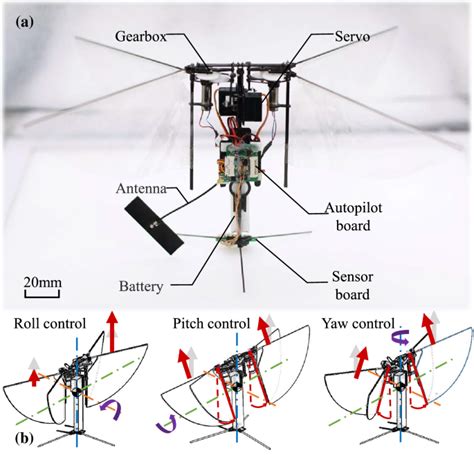 内外扰动下扑翼机器人更详细的扰动测量和自扰抑制高度控制journal Of Bionic Engineering X Mol
