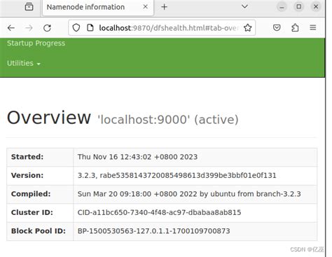 【大数据存储】实验1 hadoop伪分布式安装 csdn博客