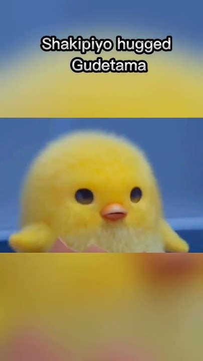 The First Time Shakipiyo Met Gudetama Youtube