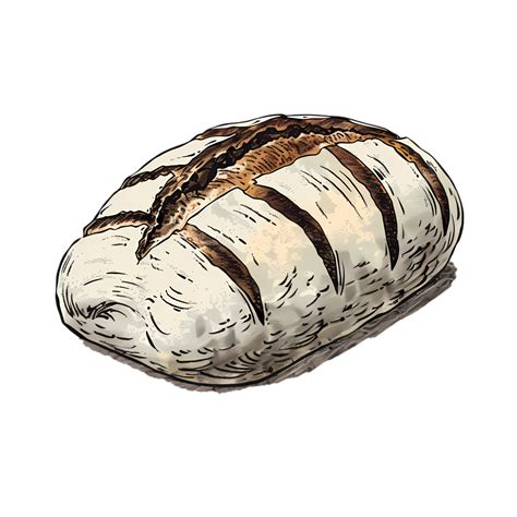 Hand Drawn Illustration Of A Crusty Bread Loaf 46800726 Png