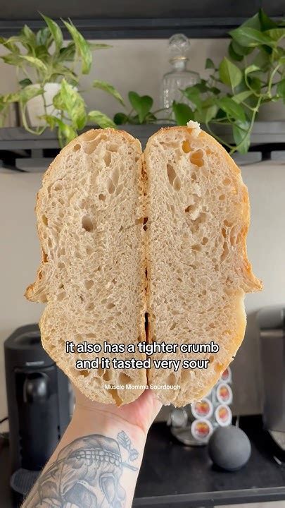 What To Do With Overproofed Dough Sourdoughbread
