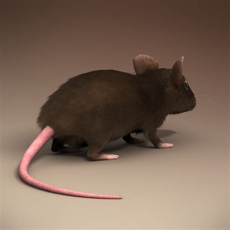 Mouse Rigged Max