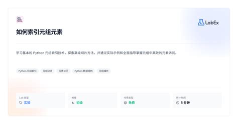 如何索引元组元素 Labex