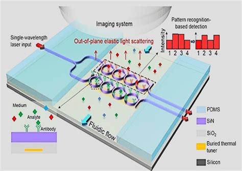 Silicon Photonics Biosensors For Early Cancer Detection