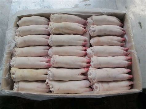 Frozen Pork Front Feet Packaging Type Box At Rs 1526kg In Lucknow