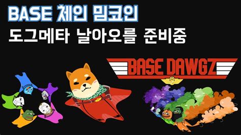 Brett 뒤를 이를 베이스 밈코인 베이스 도그즈를 소개합니다 Youtube